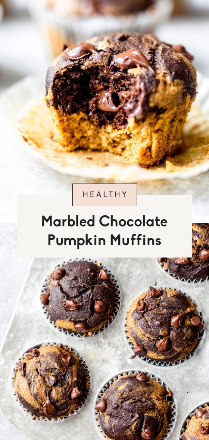 Healthy Chocolate Pumpkin Muffins | Ambitious Kitchen