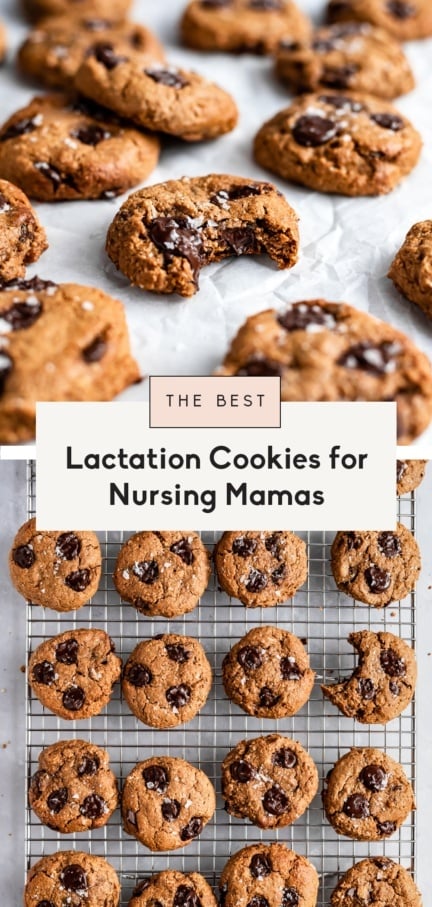 The Best Lactation Cookies for Nursing Mamas (vegan & gluten-free)