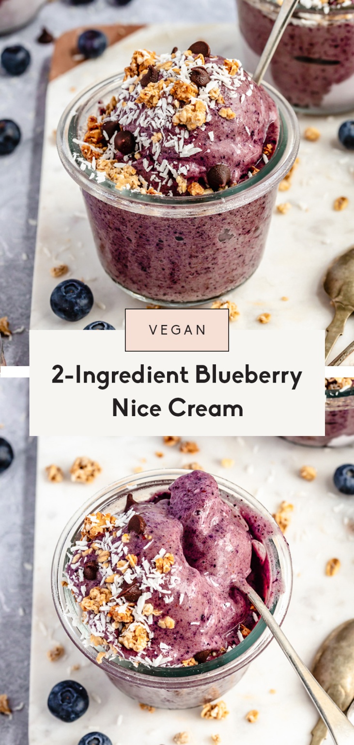 2-Ingredient Blueberry Nice Cream | Ambitious Kitchen