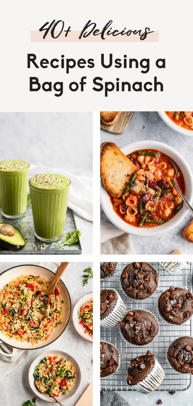 40+ Delicious Spinach Recipes for Every Meal | Ambitious Kitchen