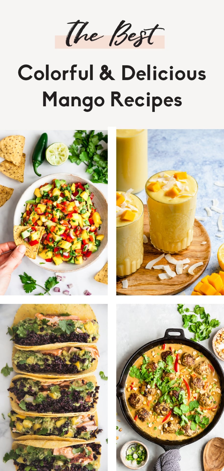20+ Colorful Mango Recipes to Make All Summer | Ambitious Kitchen