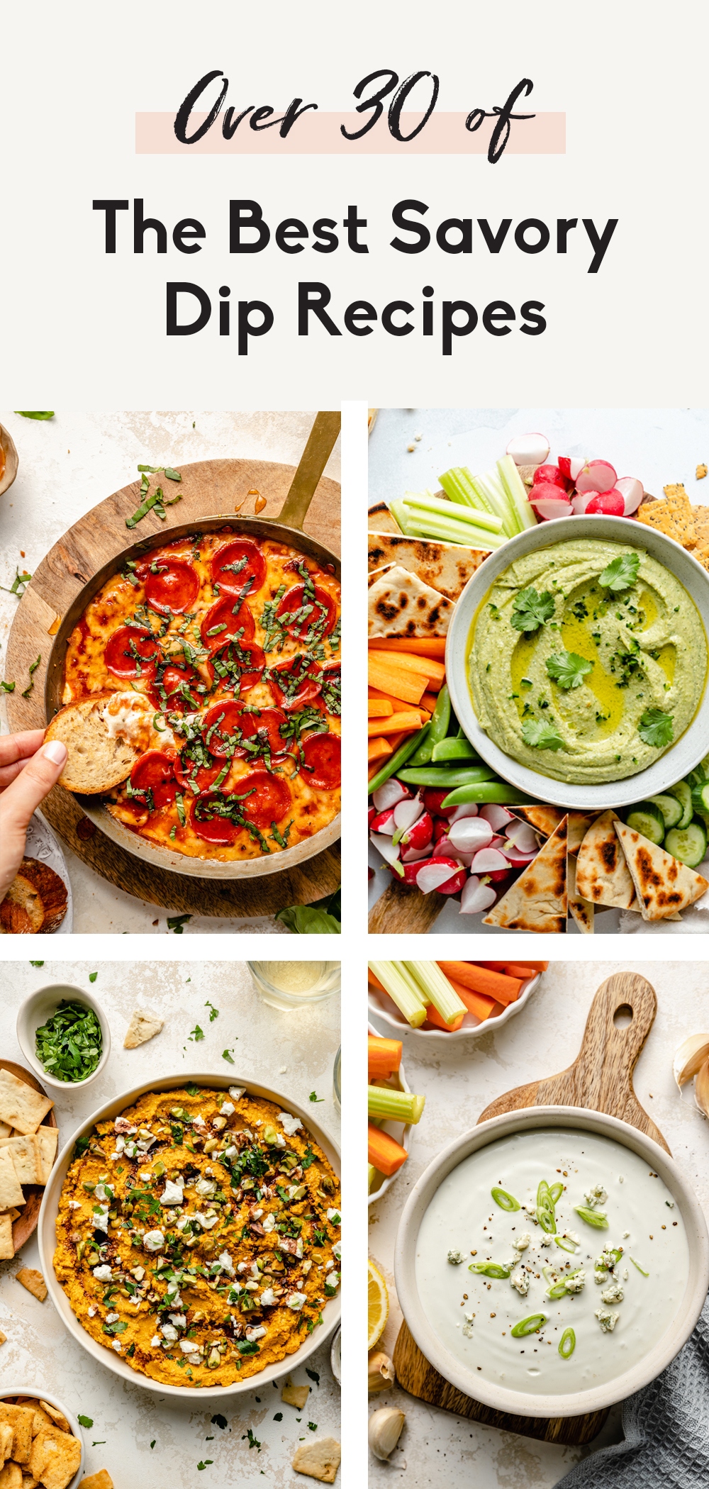 30+ of the Best Savory Dip Recipes | Ambitious Kitchen